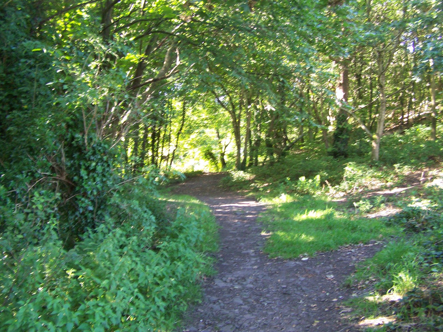 Attractions | Briton Ferry Town Council